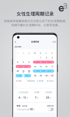 evowera NSO电脑版-evowera NSO电脑版官方下载-PC下载网