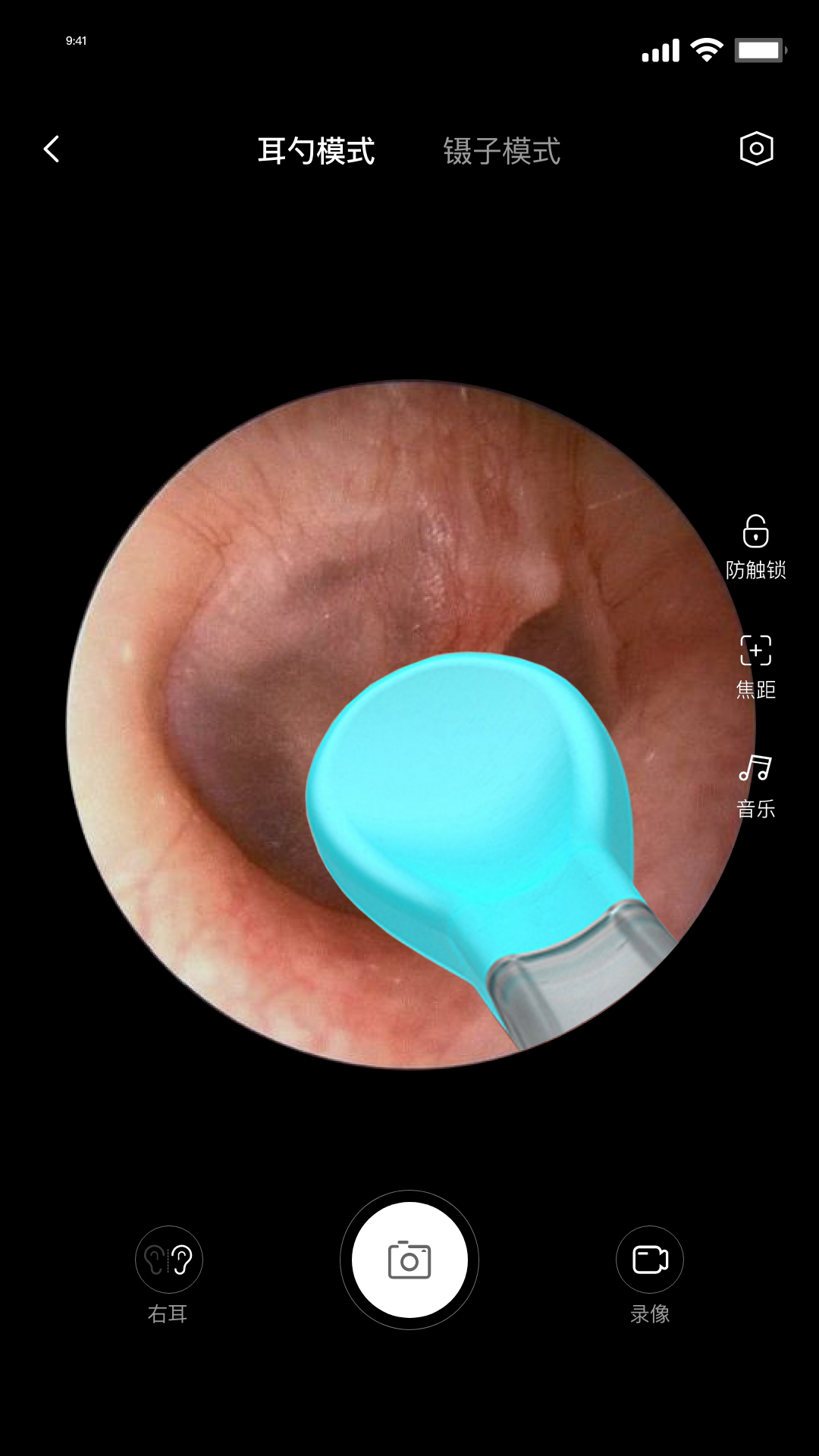 bebird电脑版-bebird电脑版官方下载-PC下载网